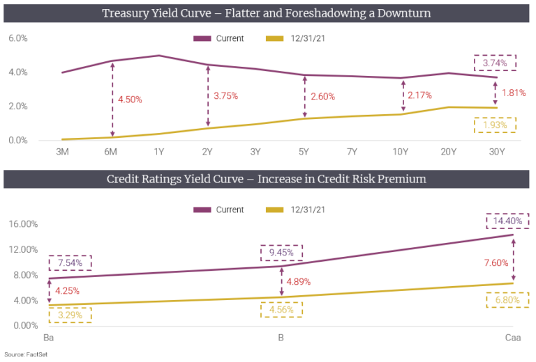 Growing Down | LionTree